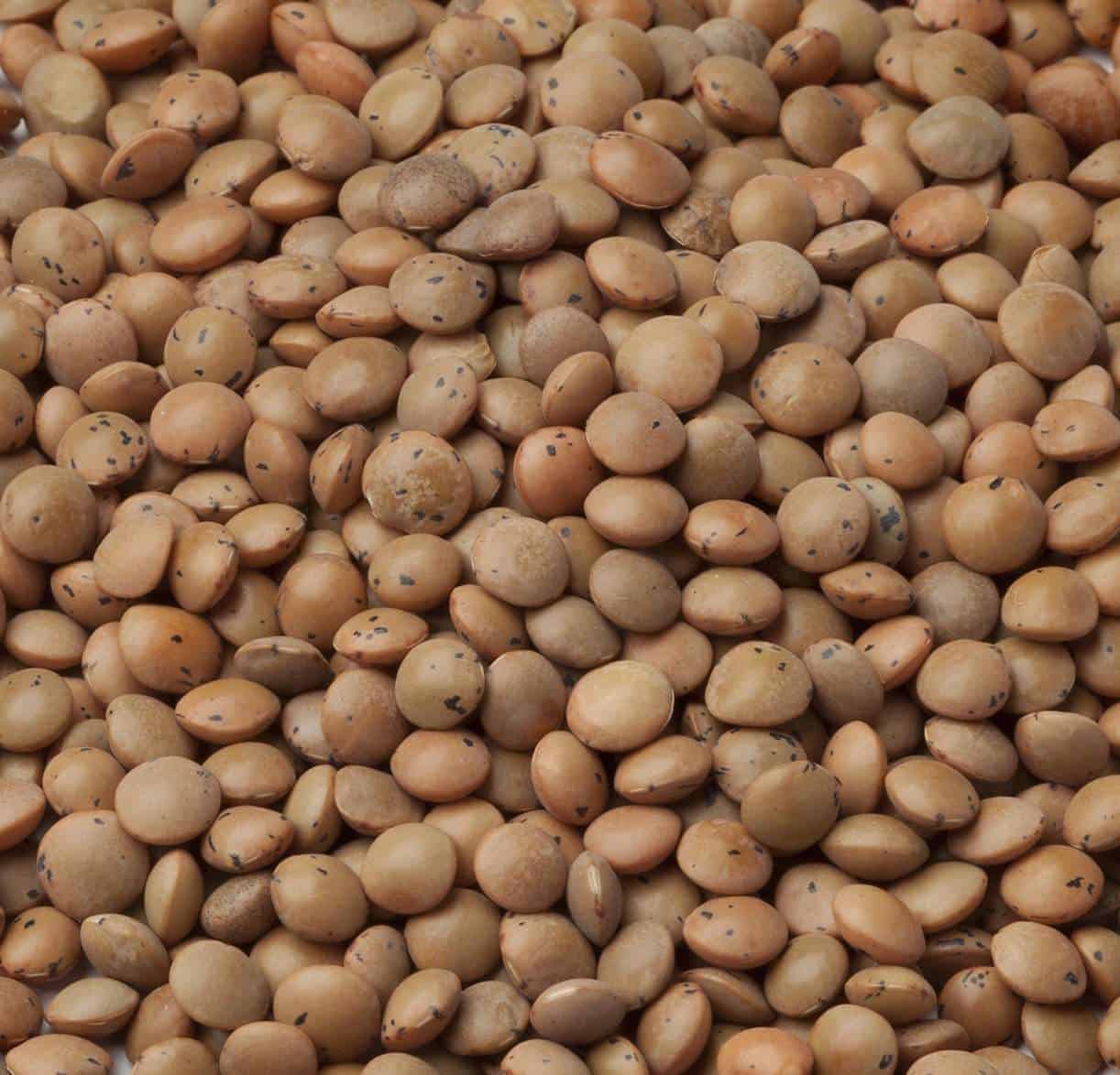 Organic Pulses - Organique Foods