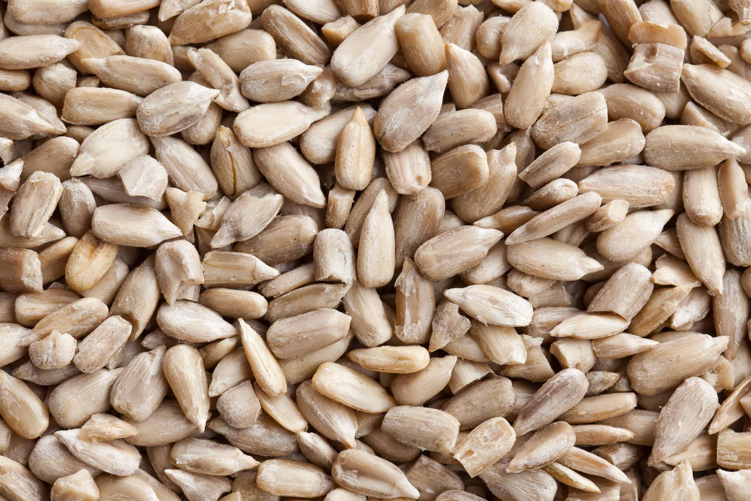 Organic Hulled Sunflower Seeds, Bulk - Organique Foods