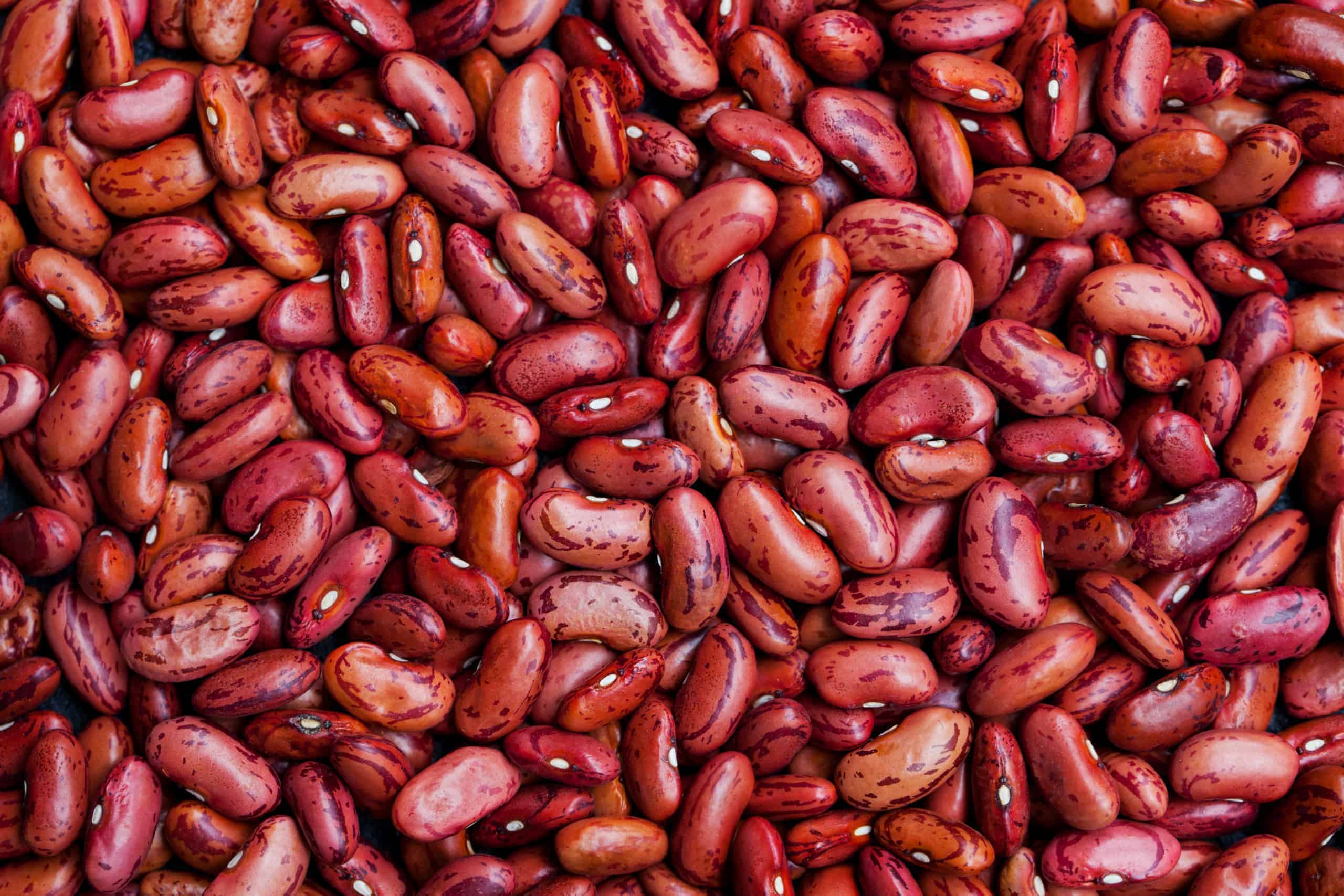 Organic Pulses - Organique Foods